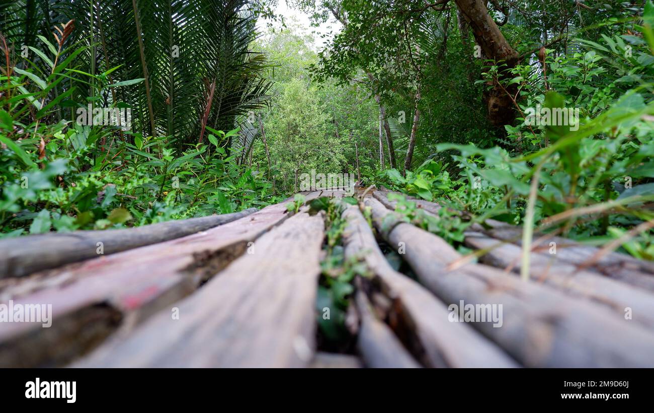 A View From A Lower Angle, A Broken Footbridge Made Of Wood Stock Photo ...