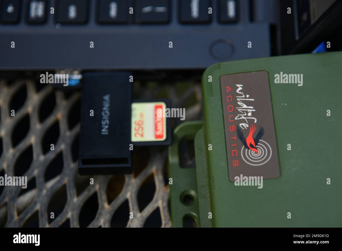 Song meters created by Wildlife Acoustics pick out all the sounds that ...