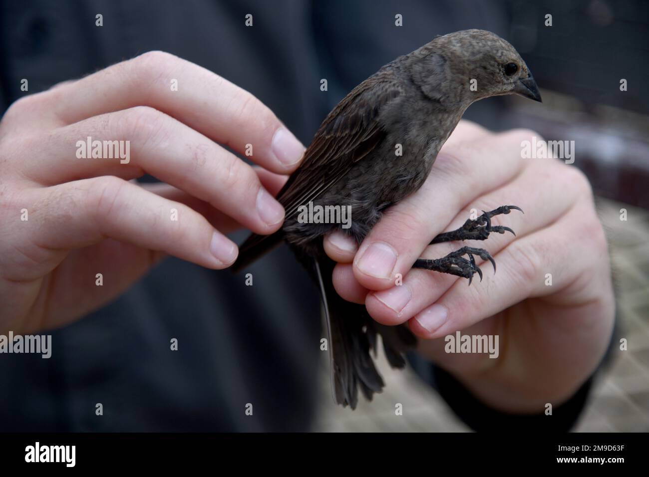 Jacob Lampman, Project Coordinator for A&M Natural Recourse Institute ...