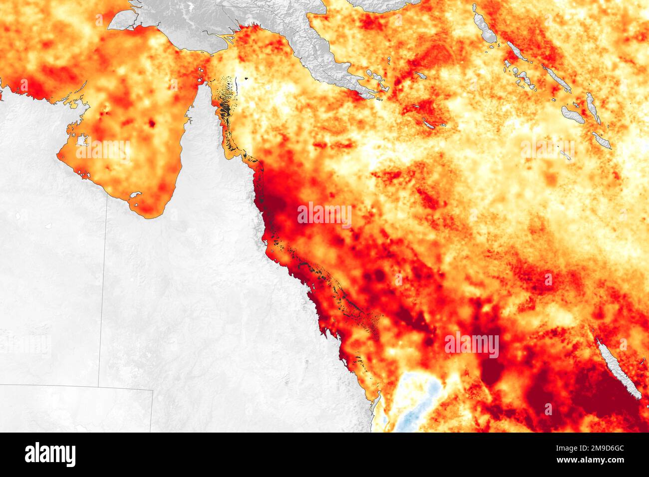 Great Barrier Reef mass bleaching event Stock Photo - Alamy