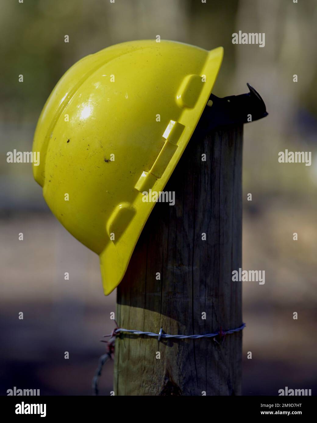 Worker climbing utility pole hi-res stock photography and images - Alamy
