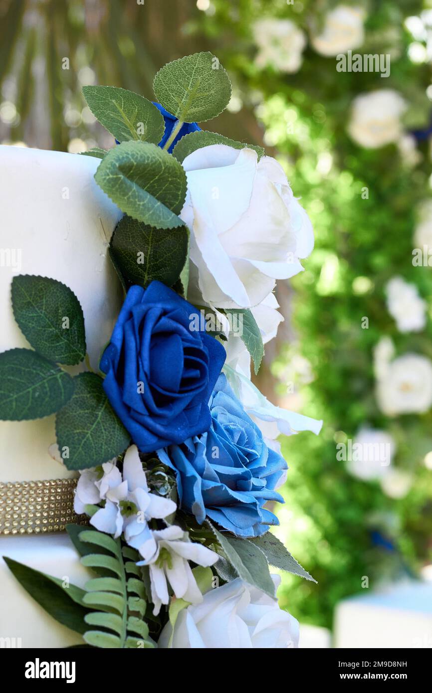 beautiful botanical shot, natural wallpaper Stock Photo - Alamy