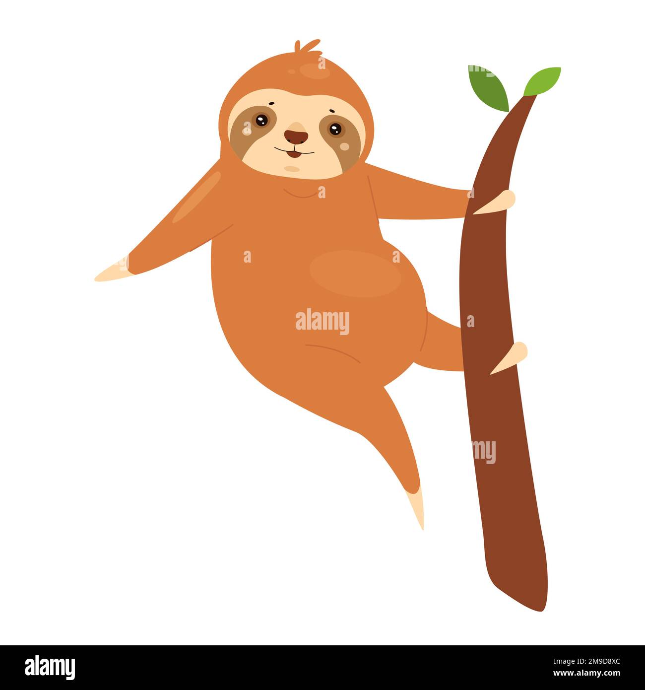 Climbing sloth animal. Tropical jungle lazy bear, slow moving mammal ...