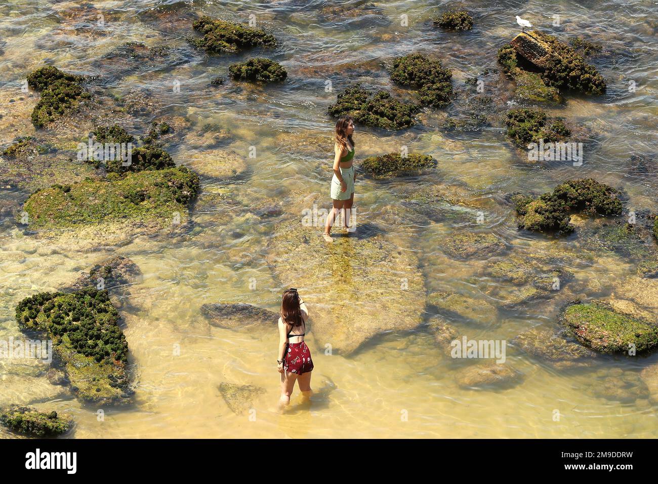 Beachgoers pose for photos as they cool off at Bondi Beach, Wednesday ...