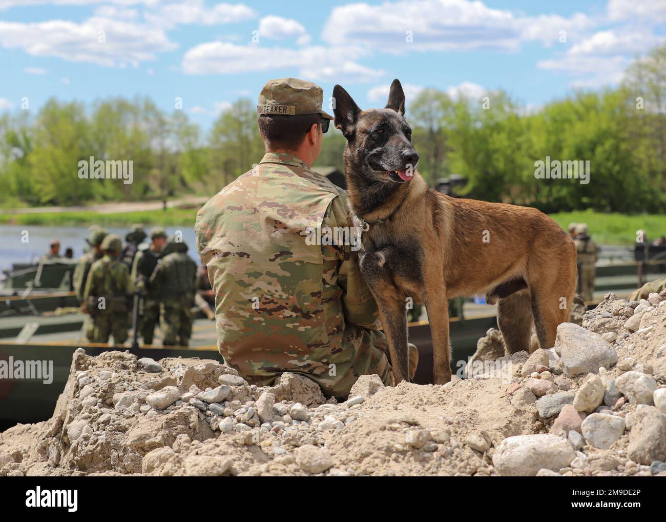 A military working dog assigned to the 74th Multi Role Bridge Company ...