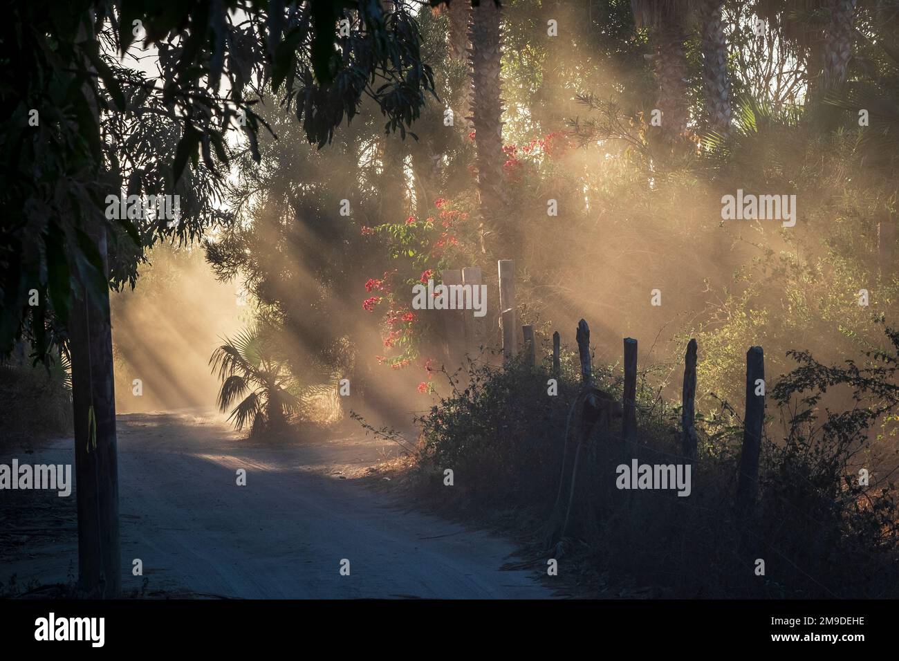 Todos Santos, Baja California, Mexico - Dusty path, dirt road to the ...