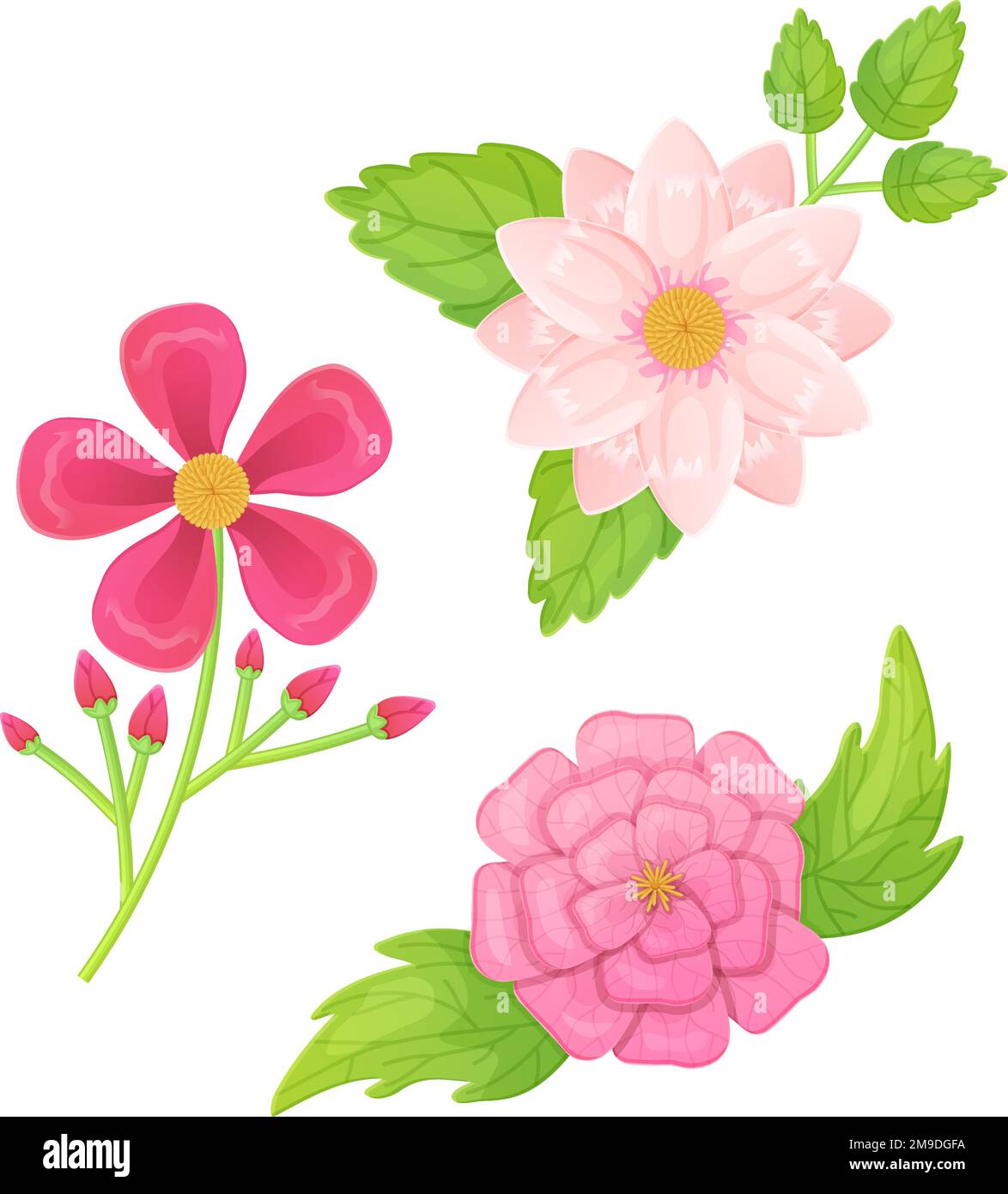 Beautiful Animated Pictures Of Flowers