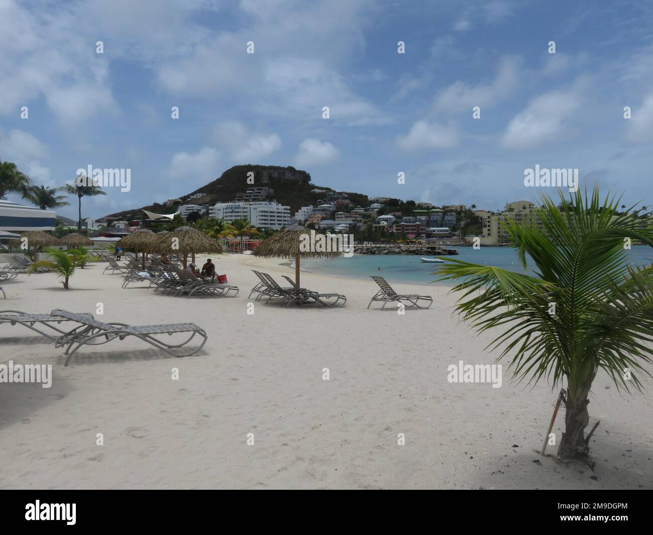 Caribbean, Saint Maartin, St. Martin (Dutch Side) beaches and Iguanas ...