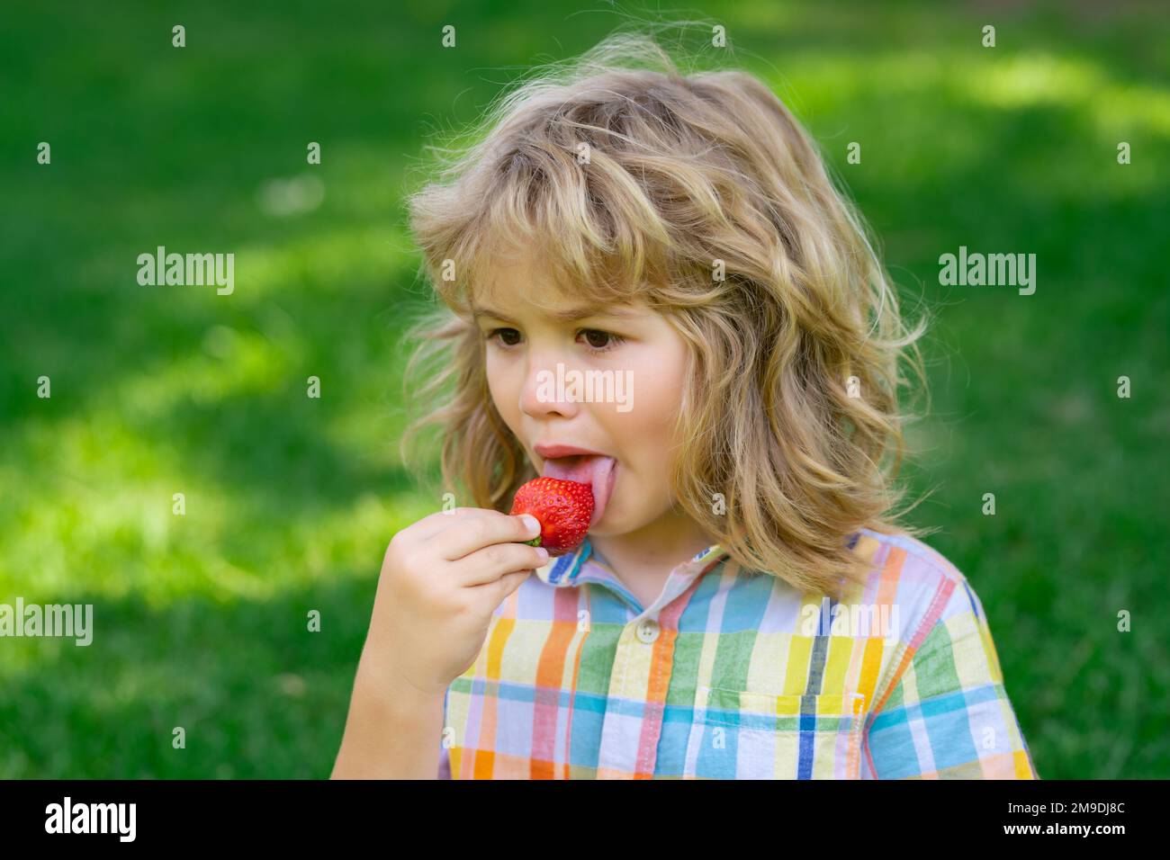 Summer cute kid face. Strawberry fot kids. Happy kid eating ripe, sweet ...