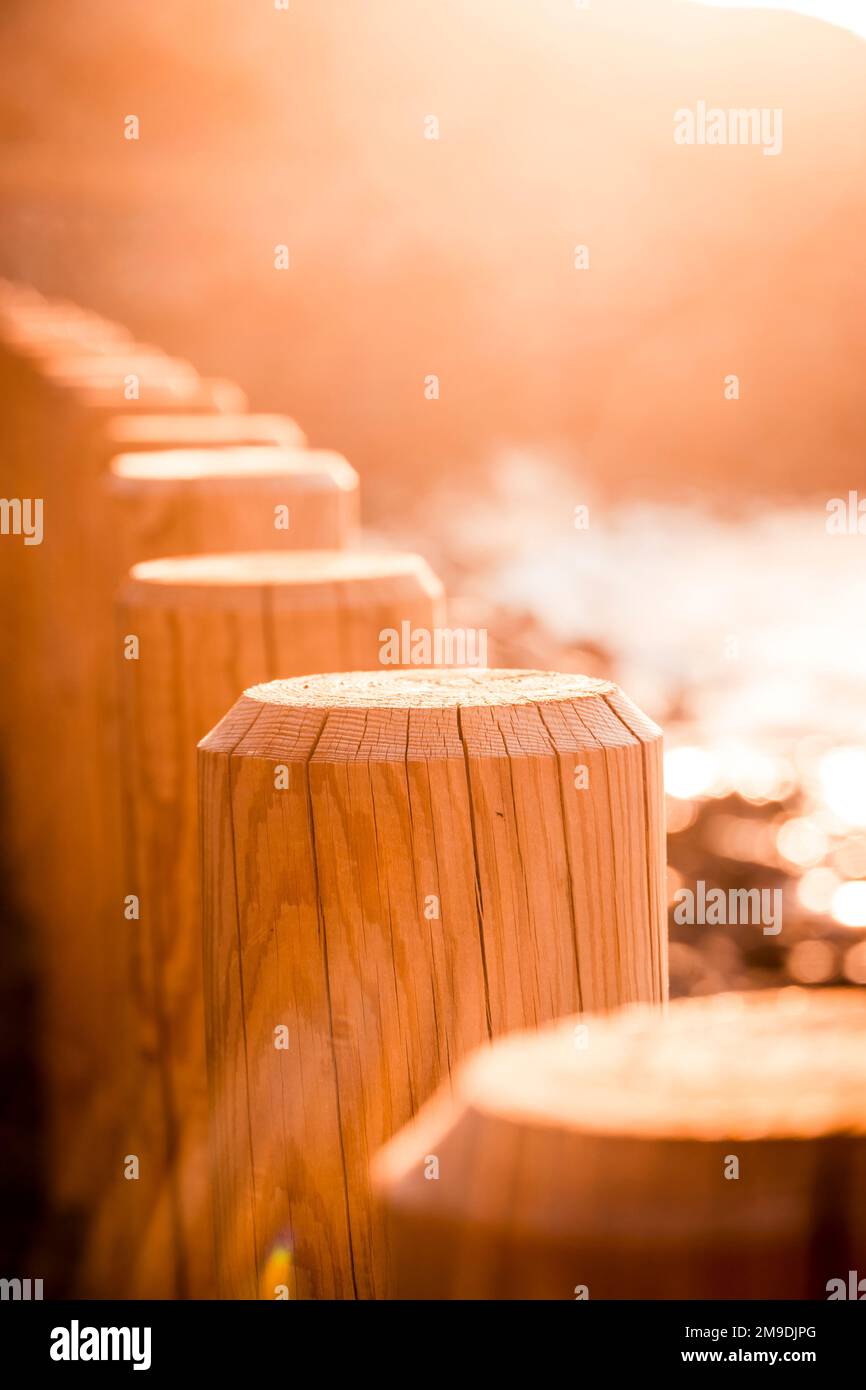 A vertical close-up shot of a long row of tree logs on the beach at ...