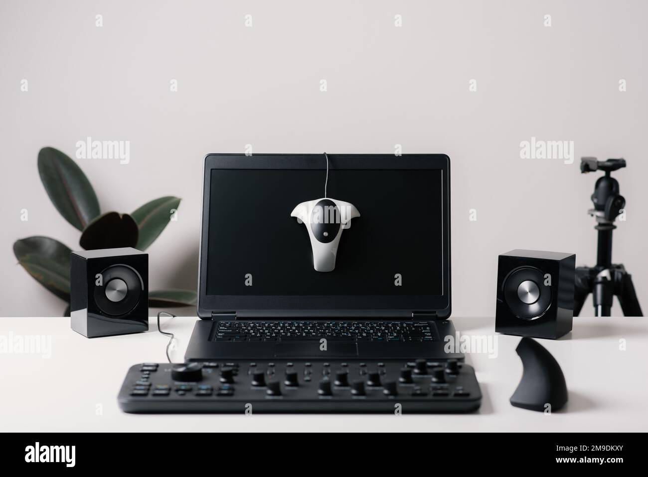 Monitor calibration by using external calibrator to ensure color is ...