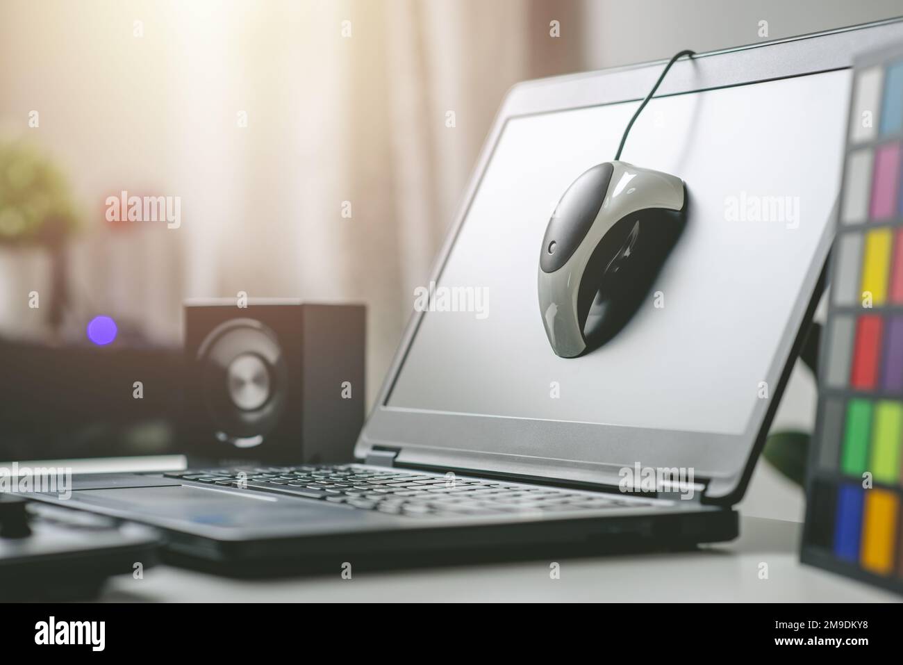 Monitor calibration by using external calibrator to ensure color is ...