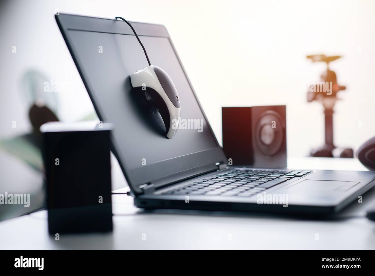 Monitor calibration by using external calibrator to ensure color is ...