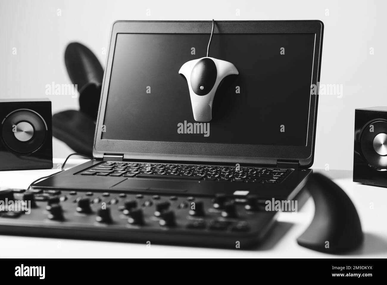 Monitor Calibration By Using External Calibrator To Ensure Color Is