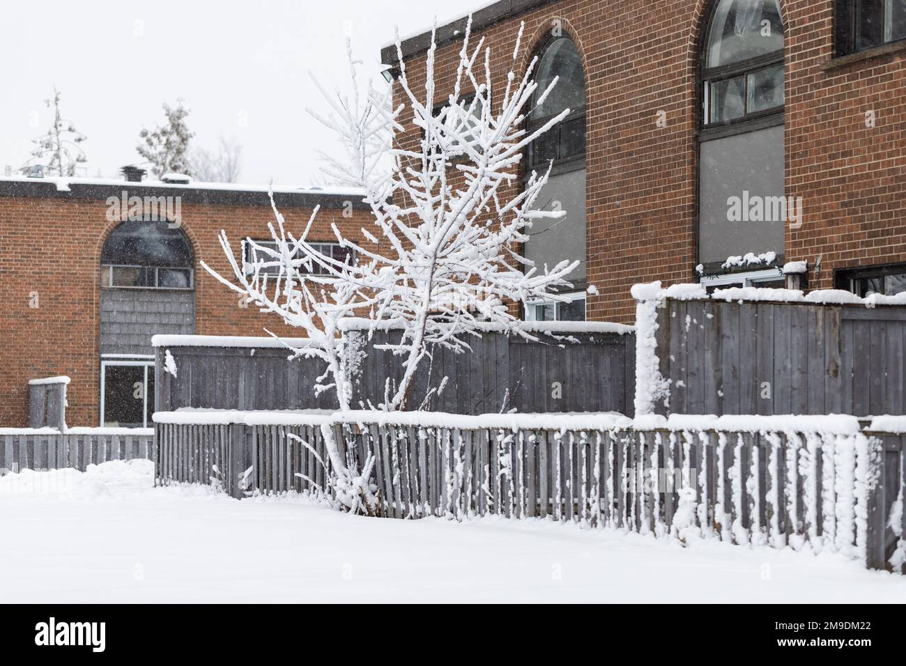 Snow day in winter. Residential building and tree covered with snow ...