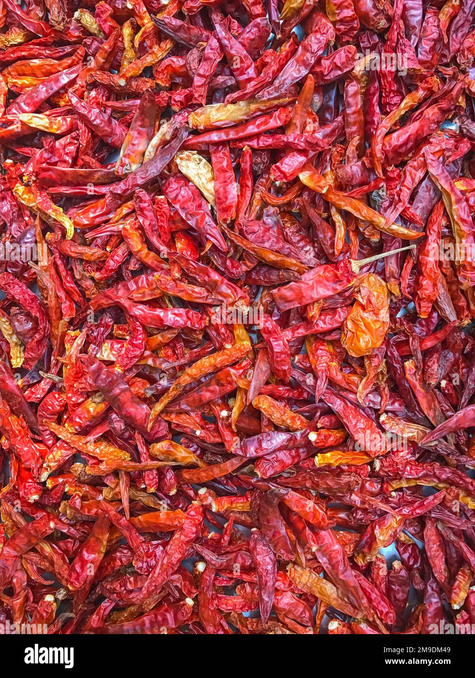 Dry red chili pepper background Stock Photo - Alamy