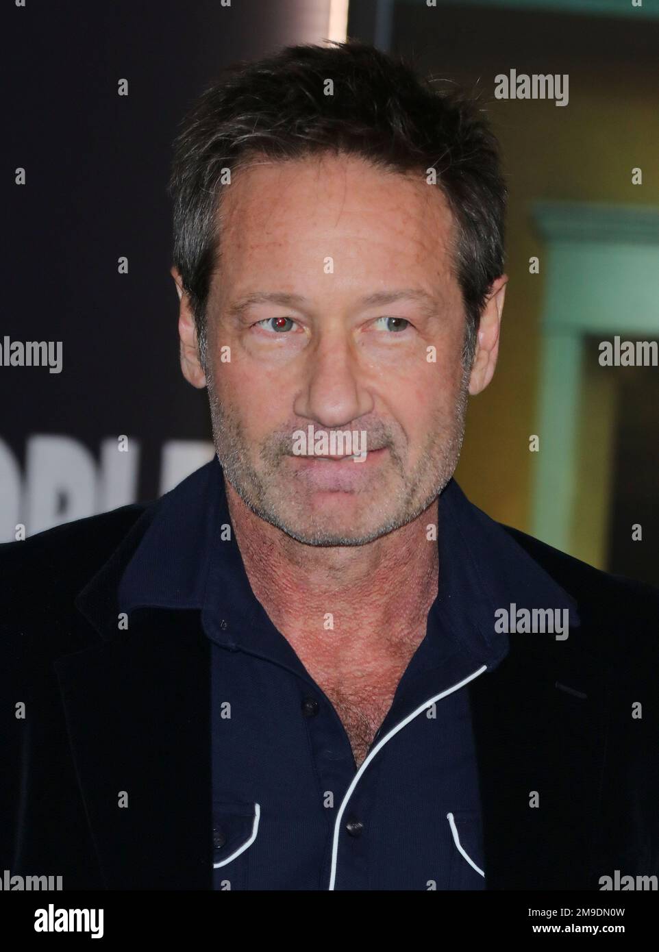 Westwood, USA. 17th Jan, 2023. David Duchovny arrives at YOU PEOPLE Los ...