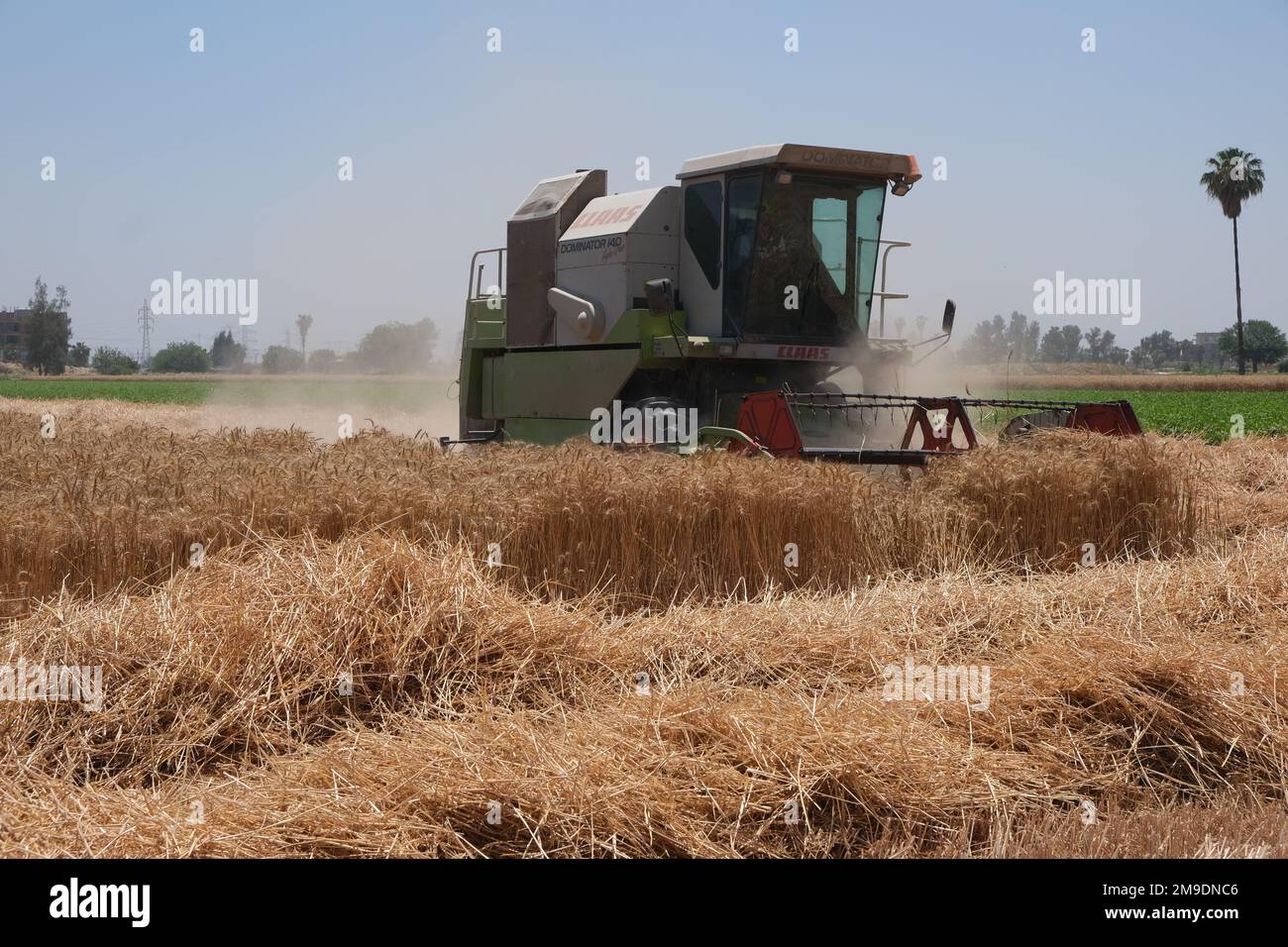 Bread is life! That’s why USAID launched a pilot program that will ...