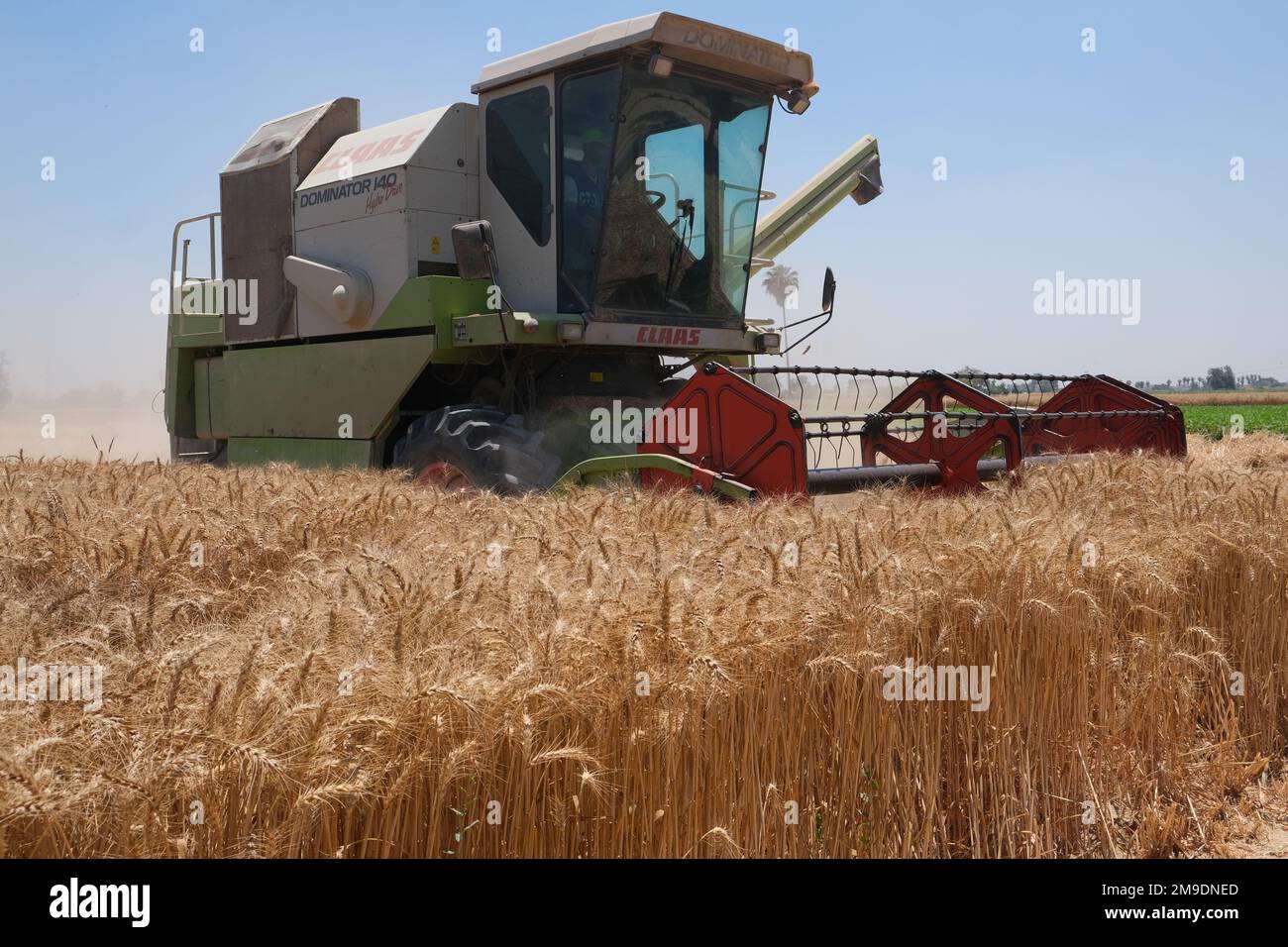 Bread is life! That’s why USAID launched a pilot program that will ...