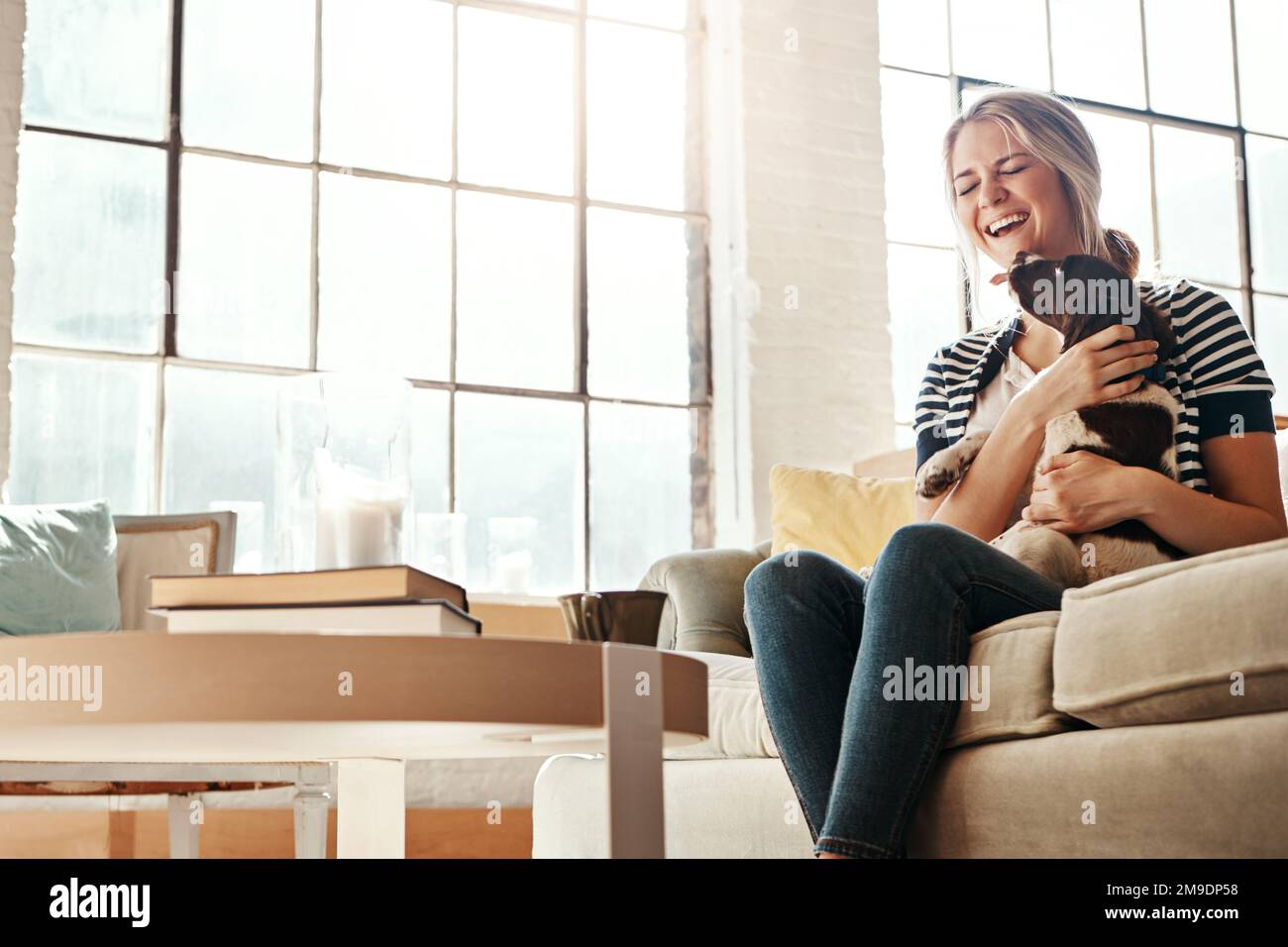 Woman, dog and relax happy on sofa in living room for animal care, love ...