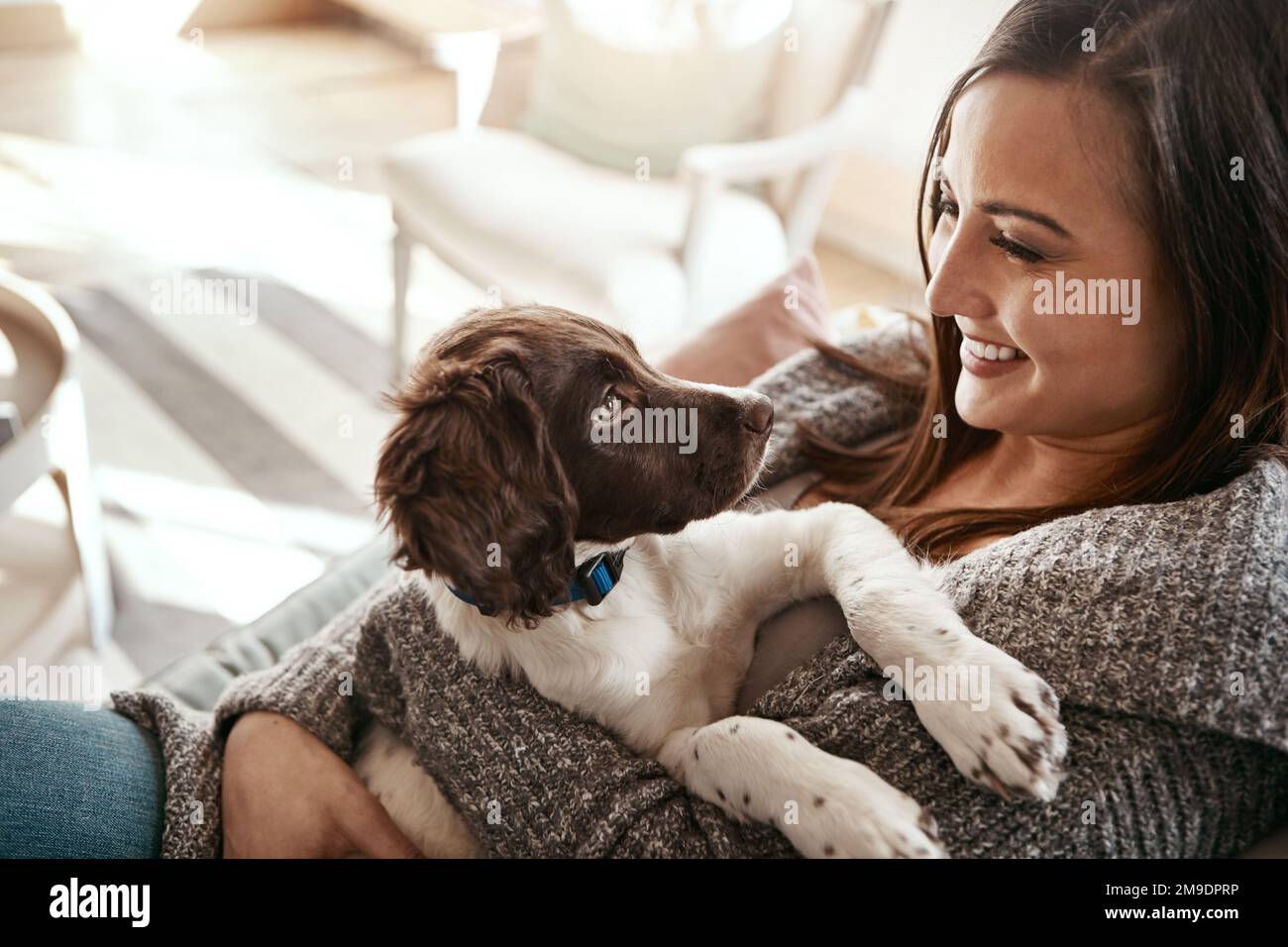 How To Take Care Of Pet Dog At Home