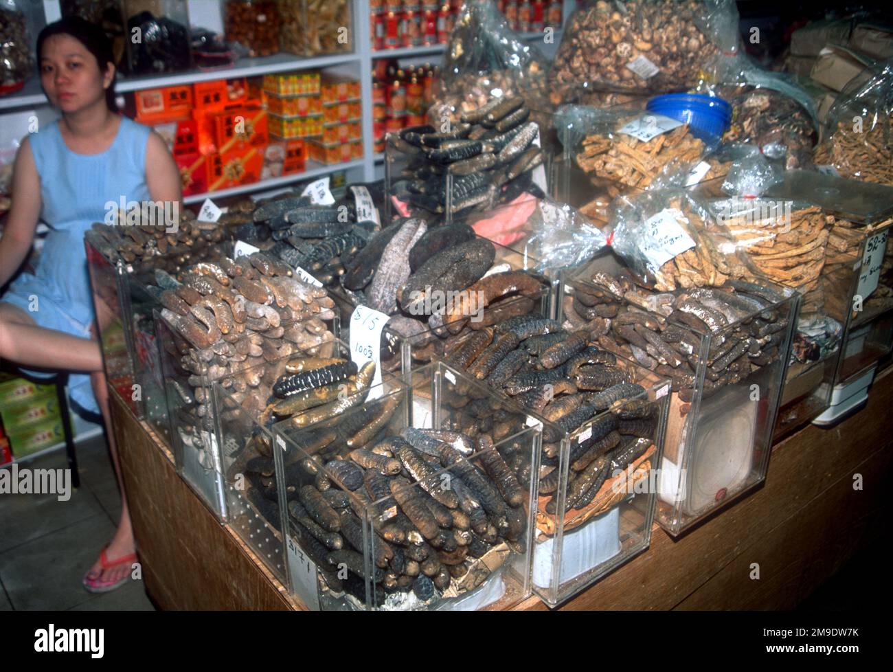 Dried beche-de-mer for sale in a shop in Singapore. Also known as ...