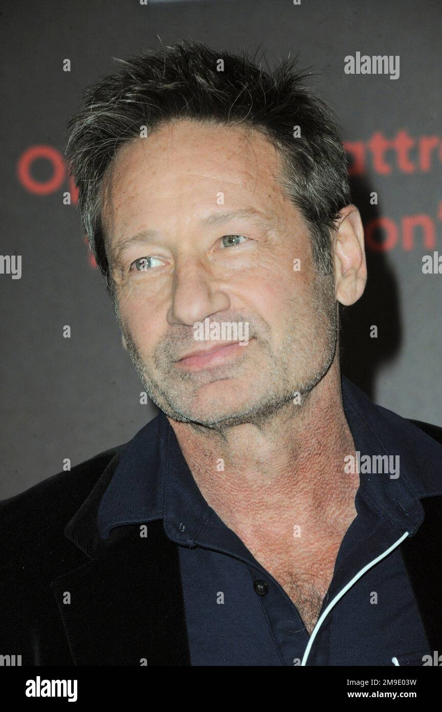 Los Angeles, CA. 17th Jan, 2023. David Duchovny at arrivals for YOU ...