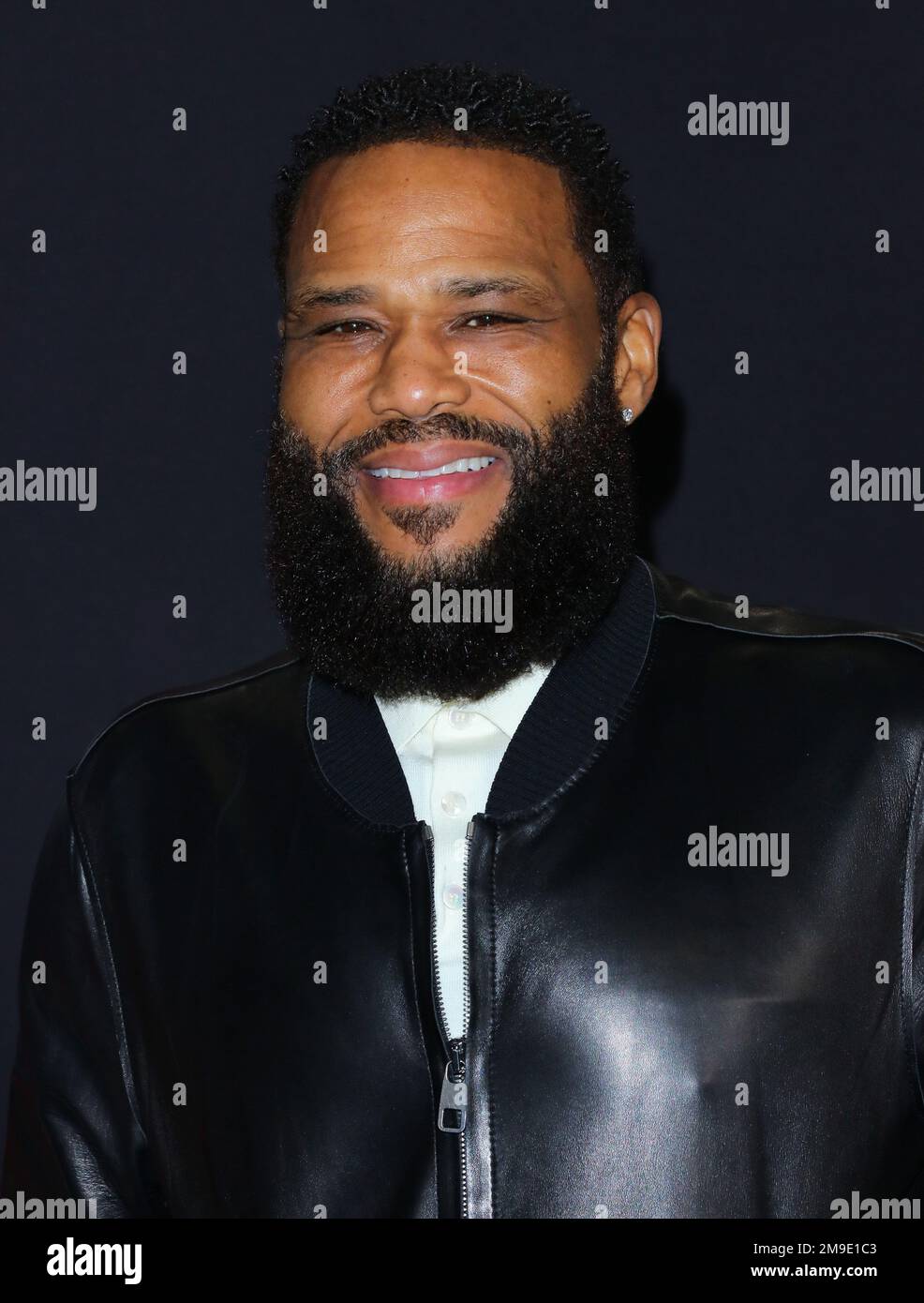 Anthony Anderson arrives at YOU PEOPLE Los Angeles Premiere held at The ...