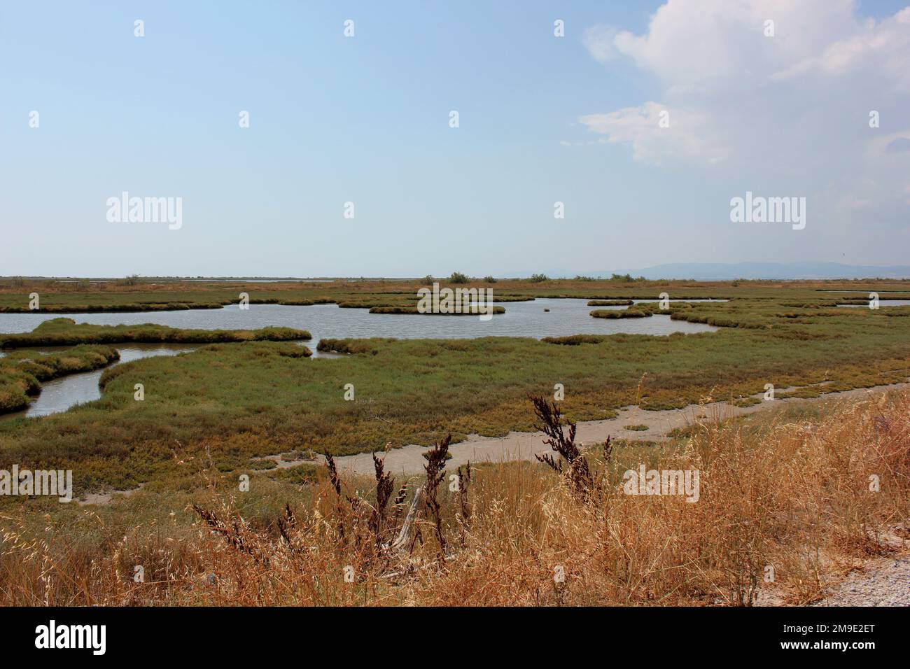 Evros delta national park hi-res stock photography and images - Alamy