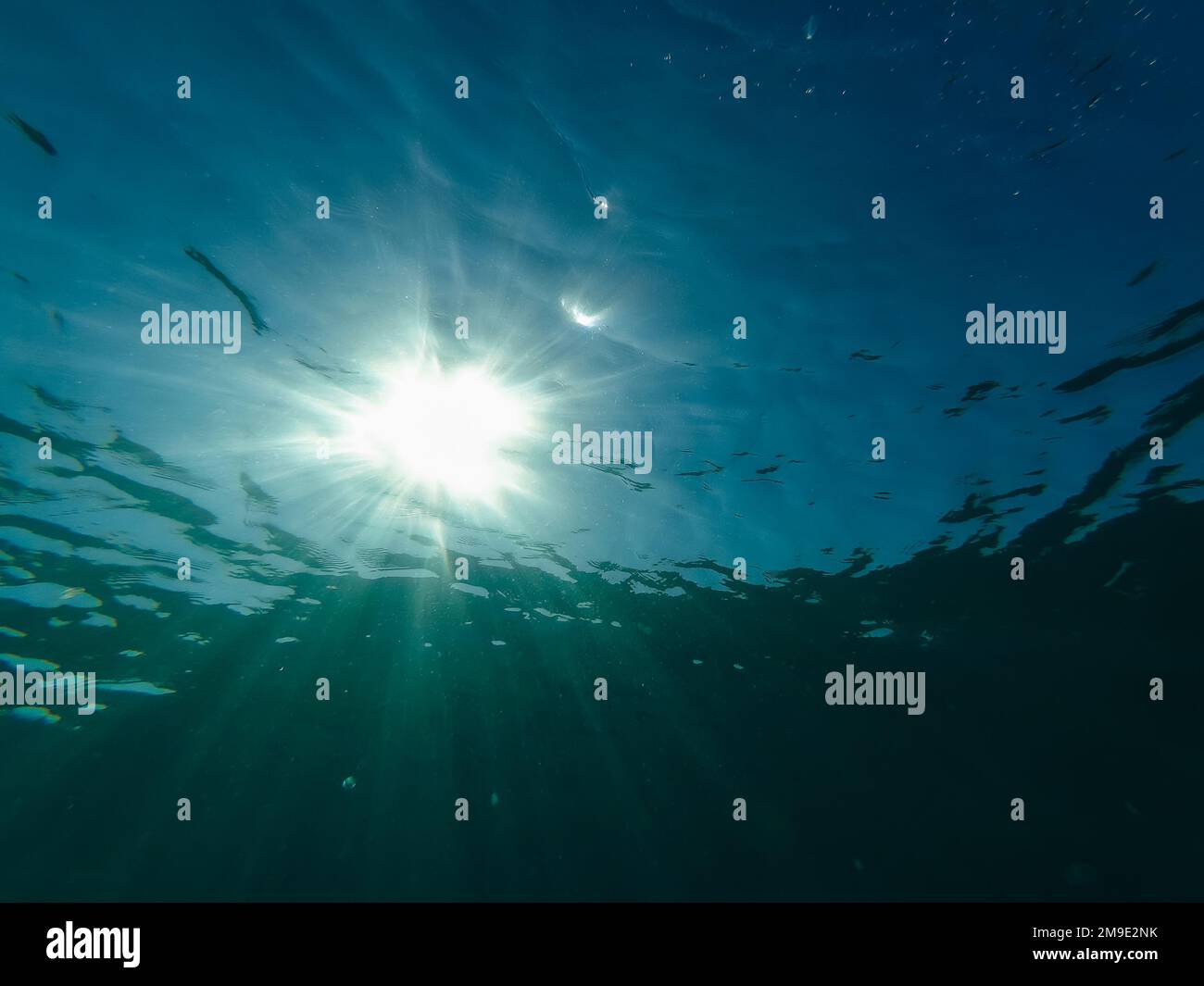 depths of the sea with sun rays through the water surface Stock Photo ...