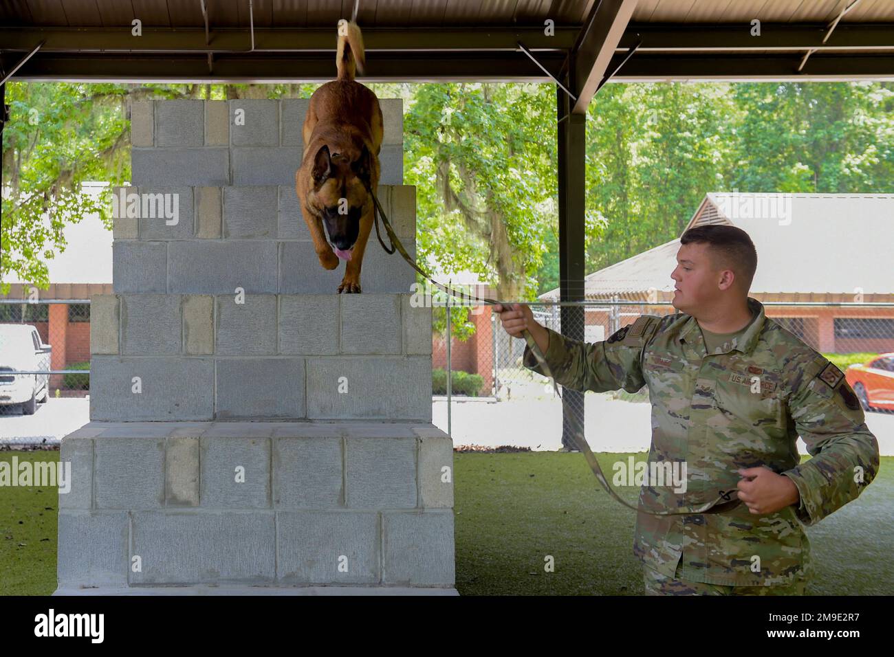 Military physical conditioning hi-res stock photography and images - Alamy