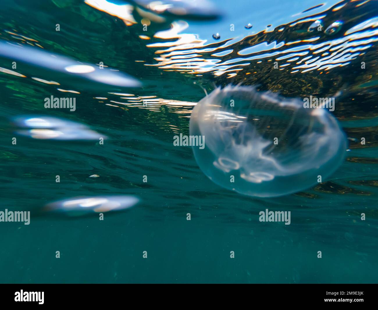 Colorful clean underwater sea hi-res stock photography and images - Alamy