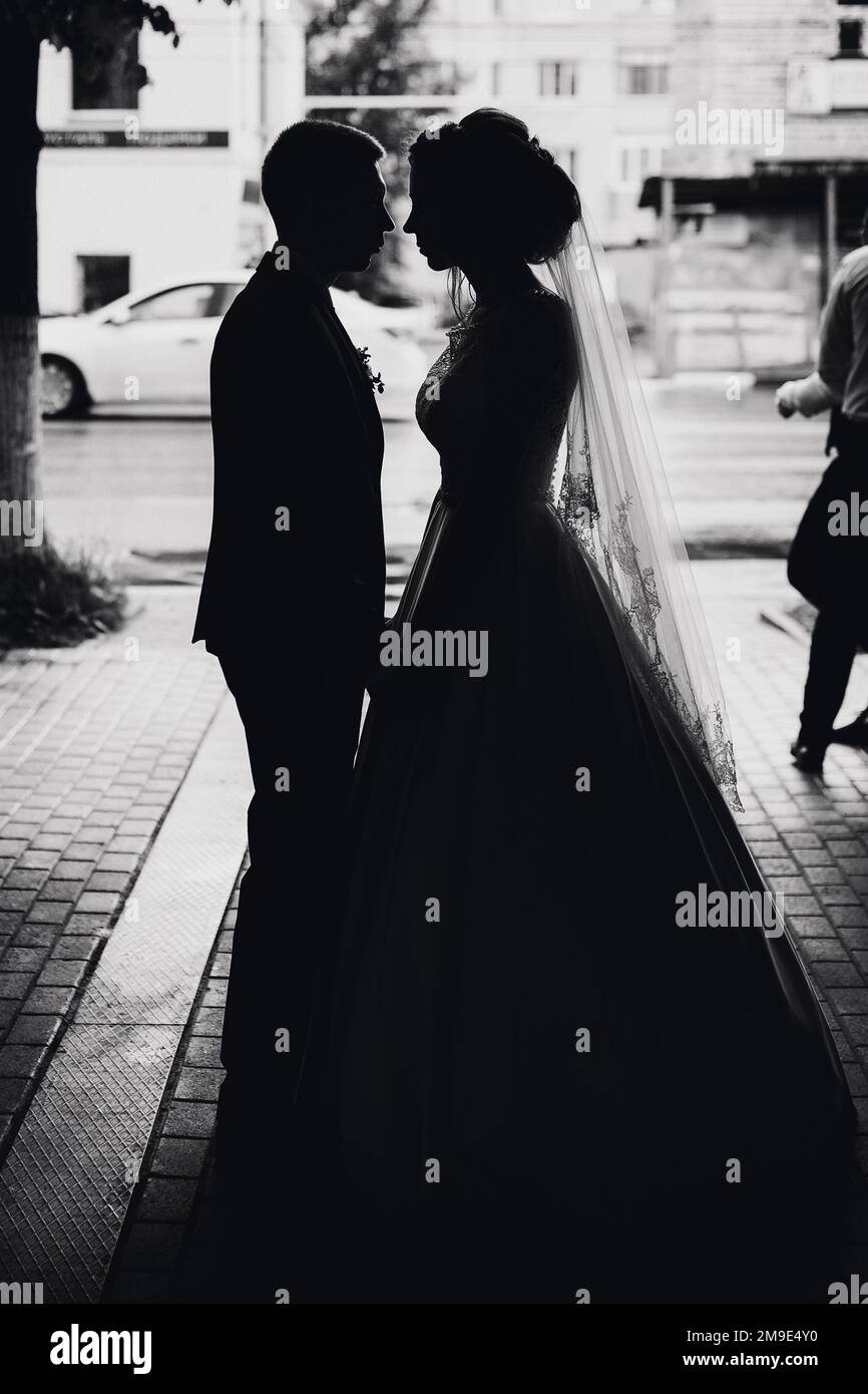 silhouette of a couple in love bride and groom on the wedding day Stock ...