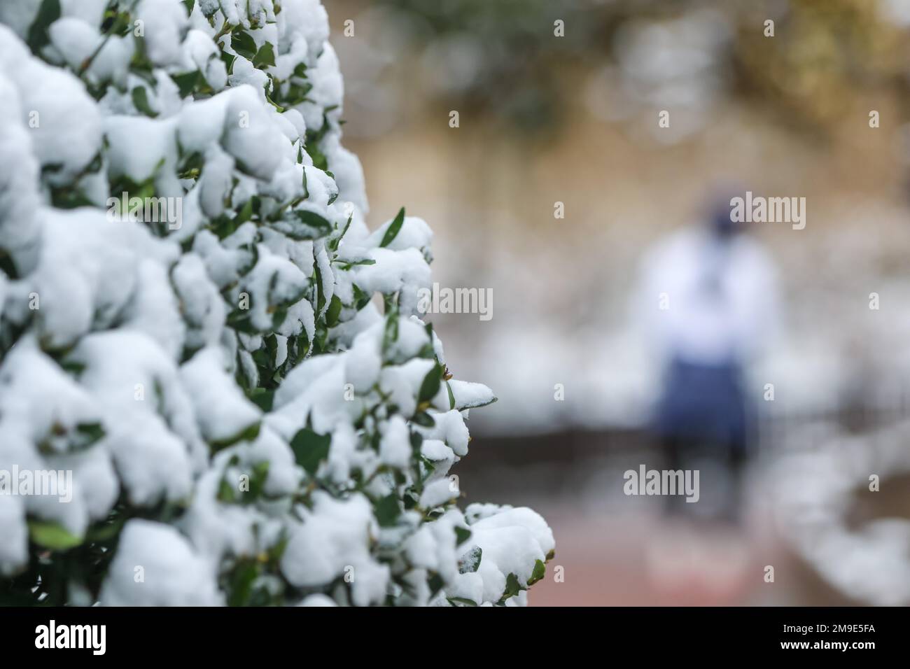 The first snow of the new year fell in Zhengzhou City, central China's ...