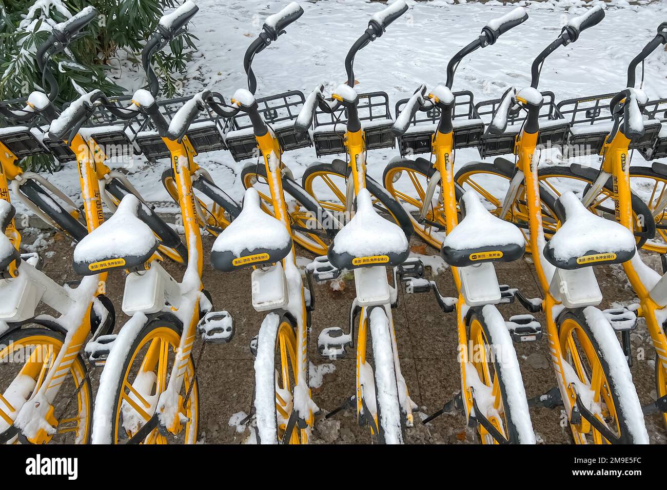 The first snow of the new year fell in Zhengzhou City, central China's ...