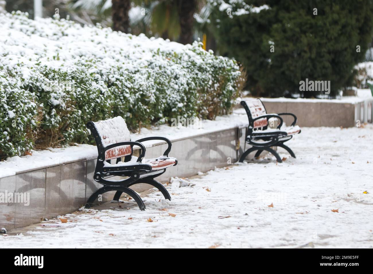 The first snow of the new year fell in Zhengzhou City, central China's ...