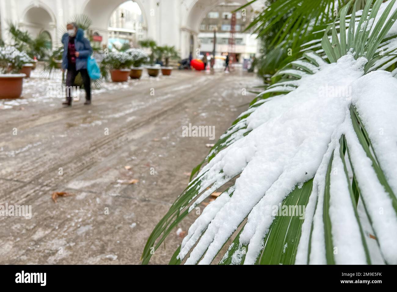 The first snow of the new year fell in Zhengzhou City, central China's ...