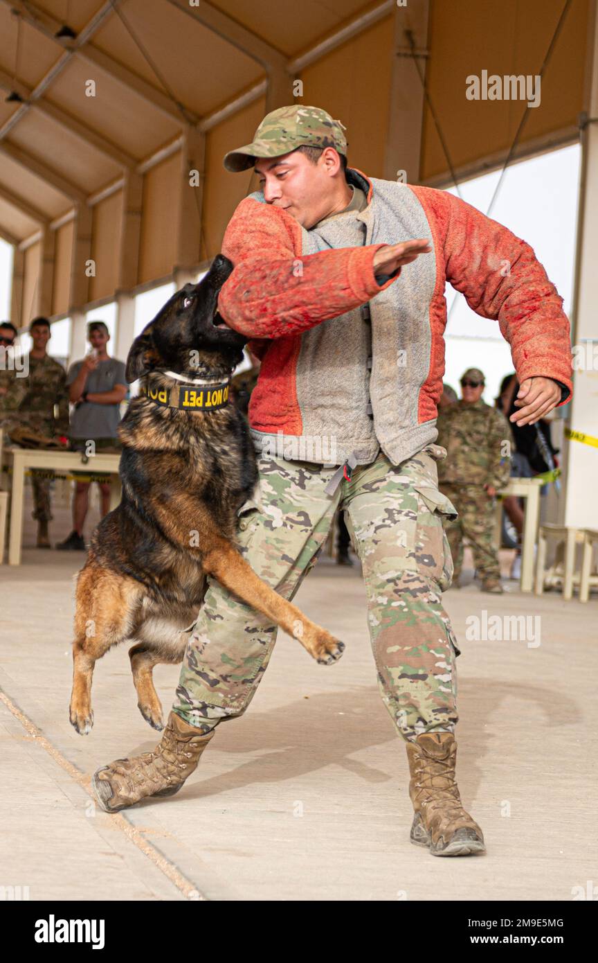 Fallen Soldier And Dog