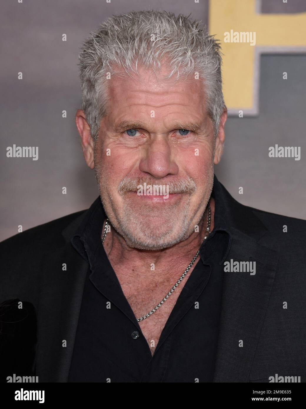17 January 2023 - Hollywood, California - Ron Perlman. Los Angeles ...