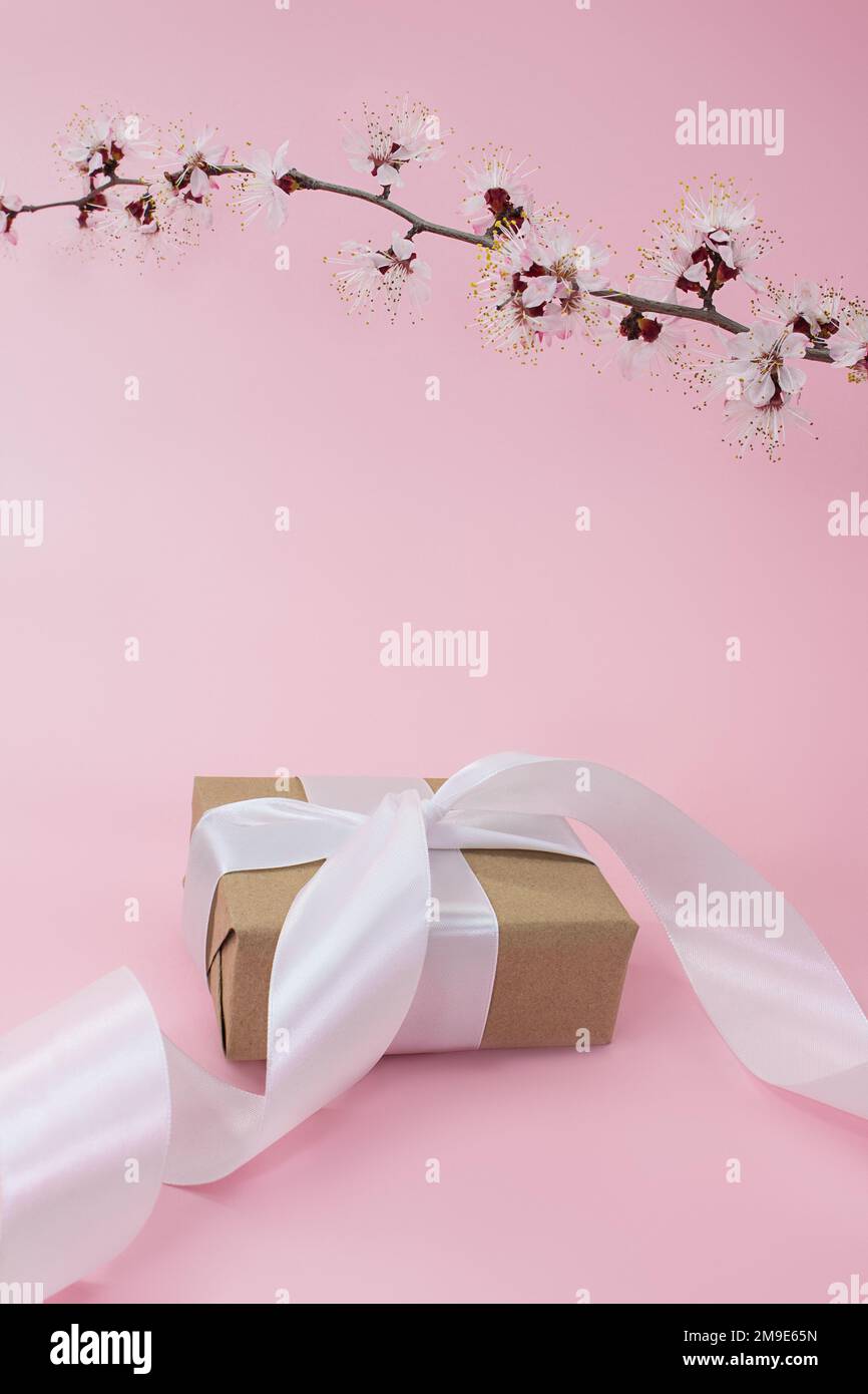 Branch of cherry, apricot, sakura with gift box with ribbon on pink ...