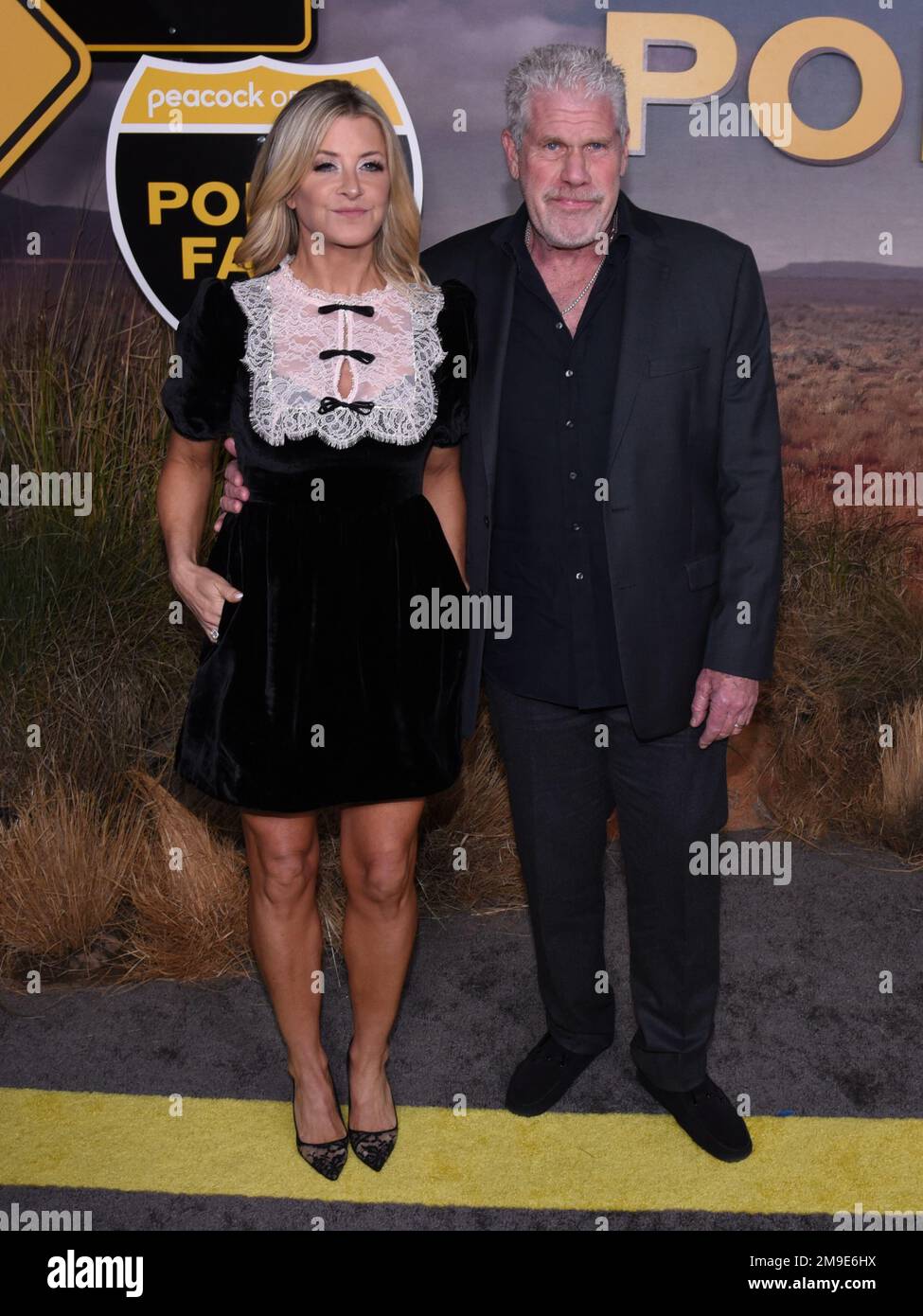 17 January 2023 - Hollywood, California - Allison Dunbar and Ron ...