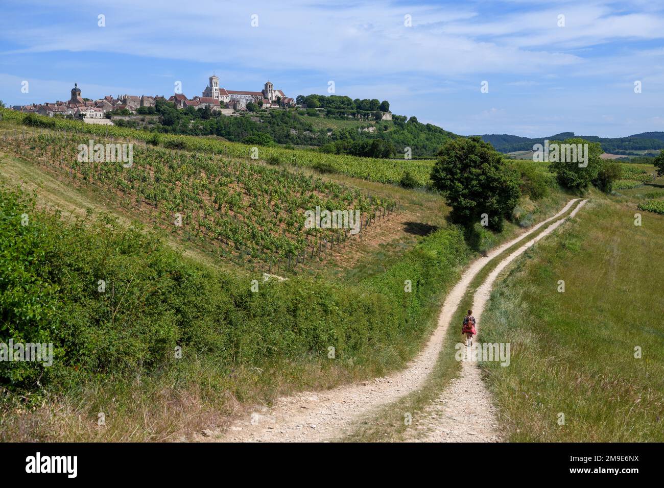 Hikers on the way to Vezelay, Yonne department, Bourgogne-Franche-Comte ...