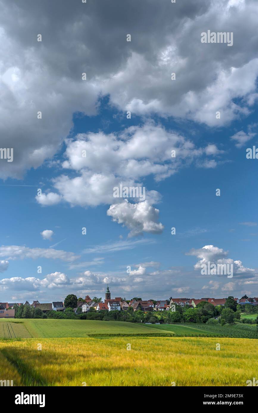 View of Kalchreuth, a barley field in front, Middle Franconia, Bavaria ...