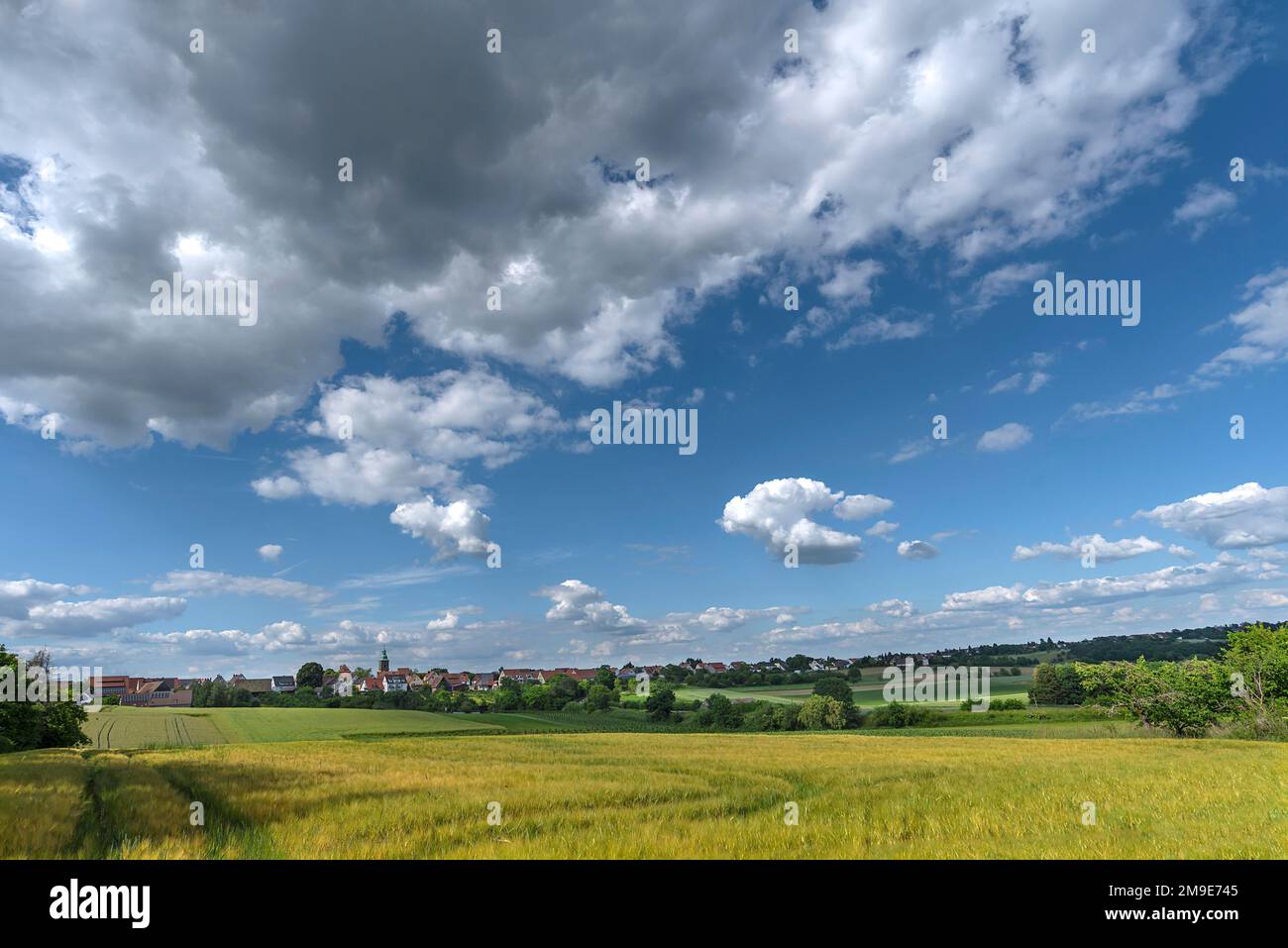 View of Kalchreuth, a barley field in front, Middle Franconia, Bavaria ...