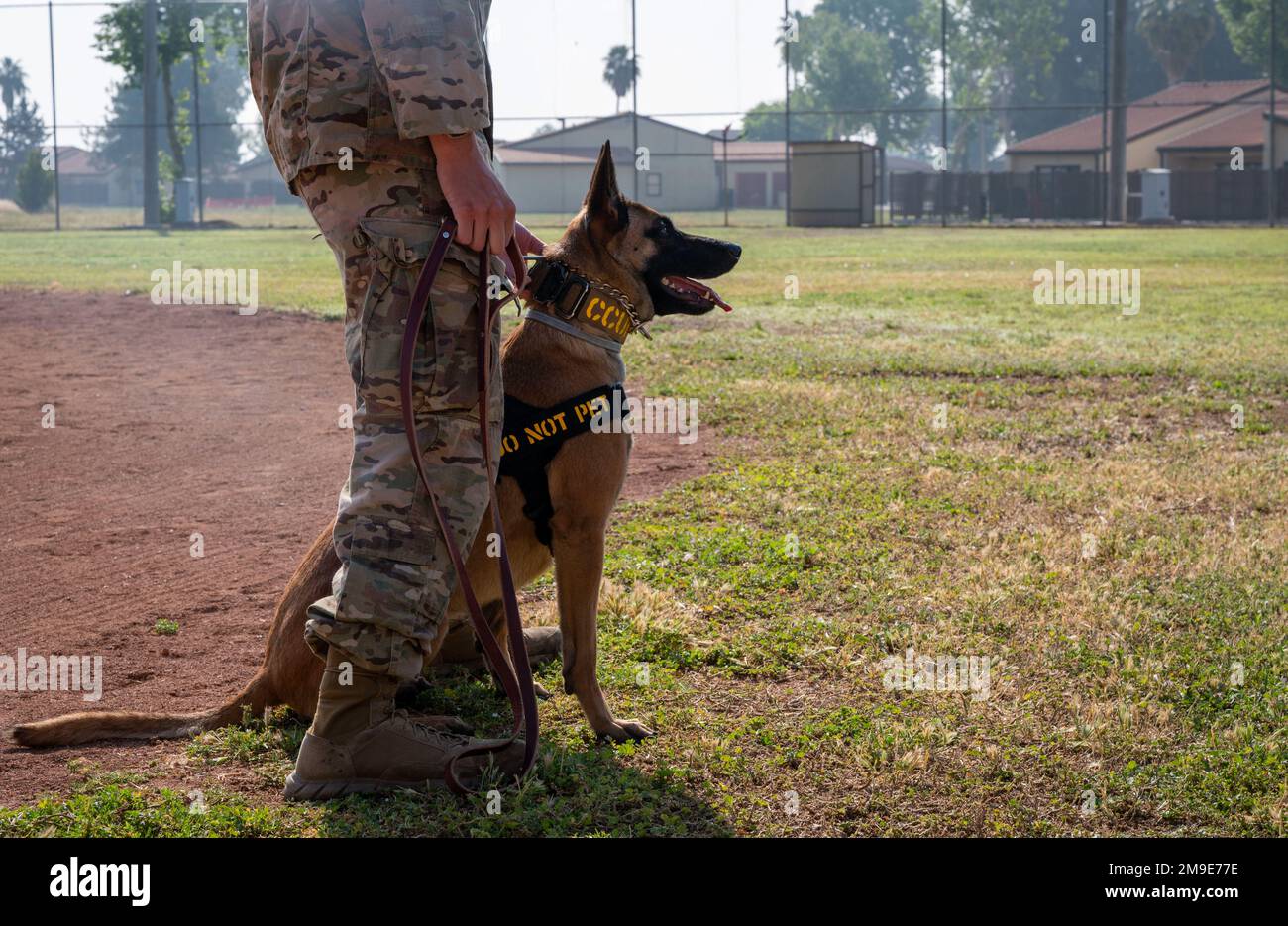 Alex ramirez hi-res stock photography and images - Alamy