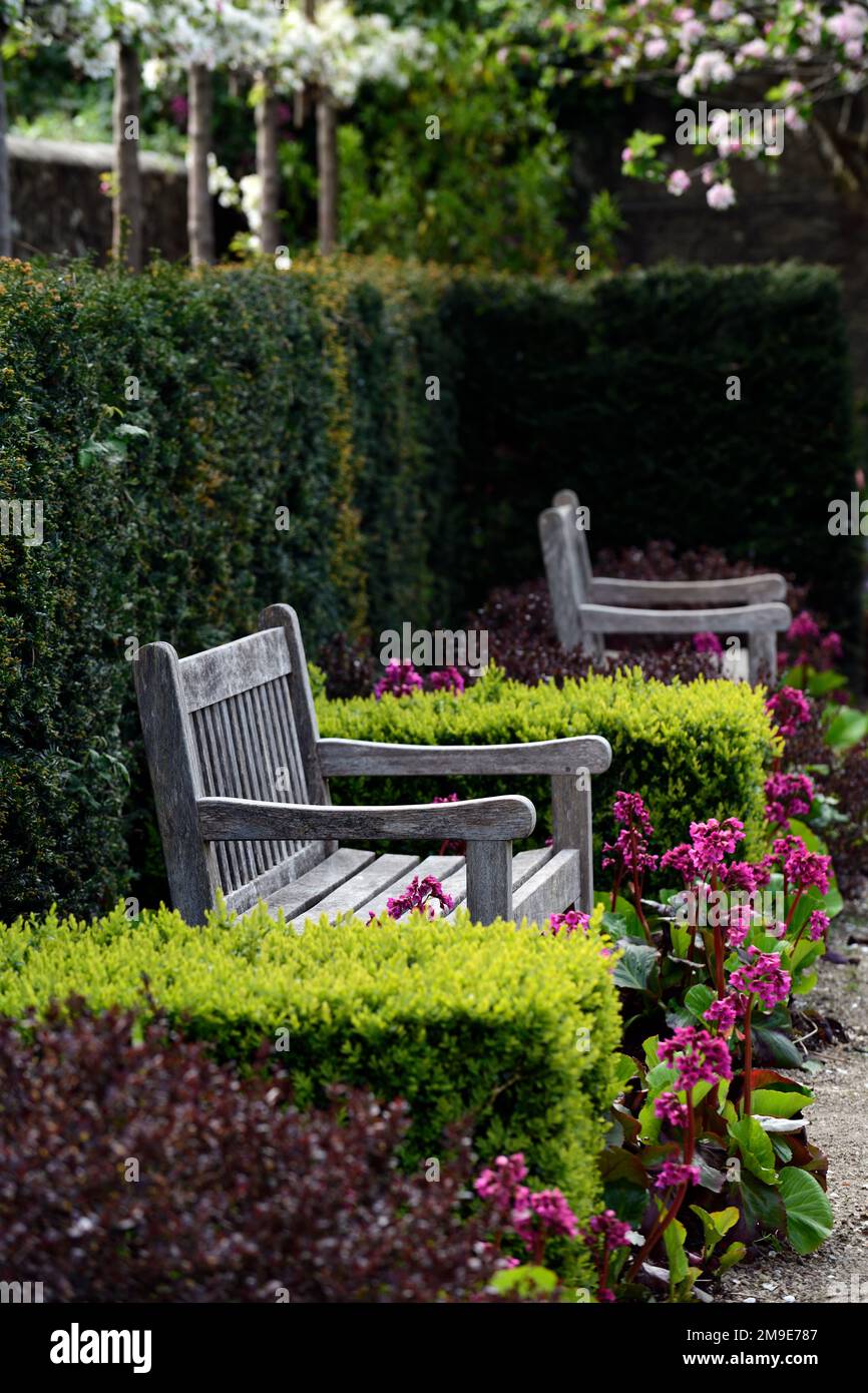 wood,wooden,garden bench,seat,seating,shade sheltered area,garden ...