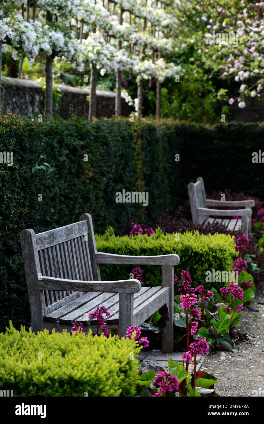 wood,wooden,garden bench,seat,seating,shade sheltered area,garden ...