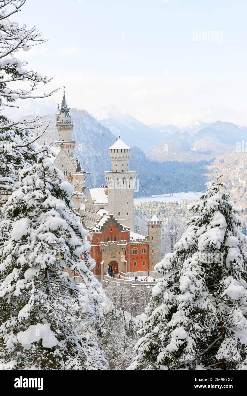 Neuschwanstein Castle, near Fuessen, winter, snow, Ostallgaeu, Allgaeu ...