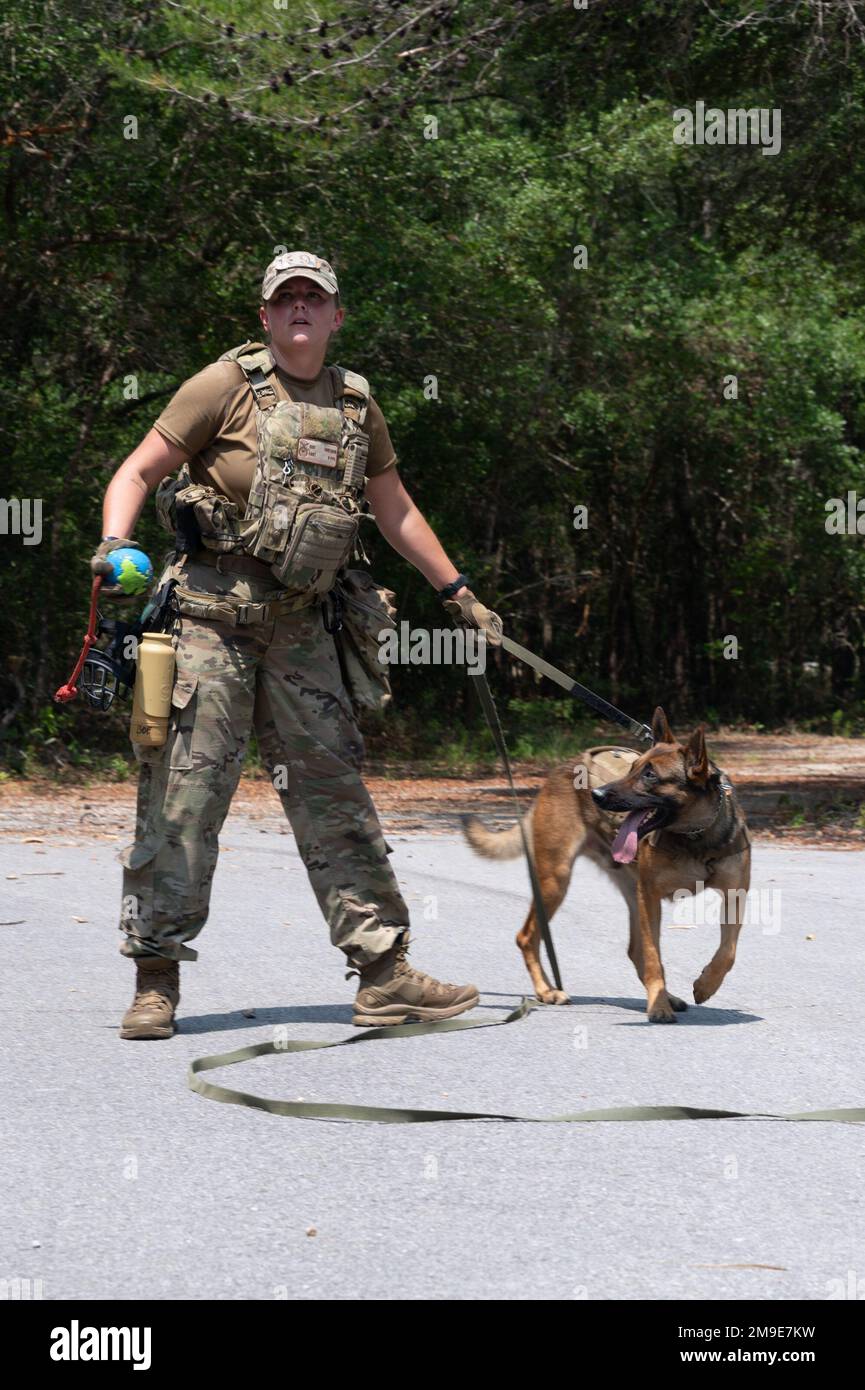 Chelsea handler dog hi-res stock photography and images - Alamy