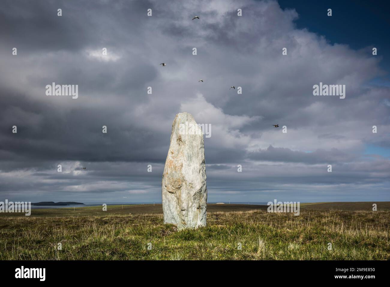 Prehistoric standing stone block, megalith, Uyeasound, Unst, Shetland ...